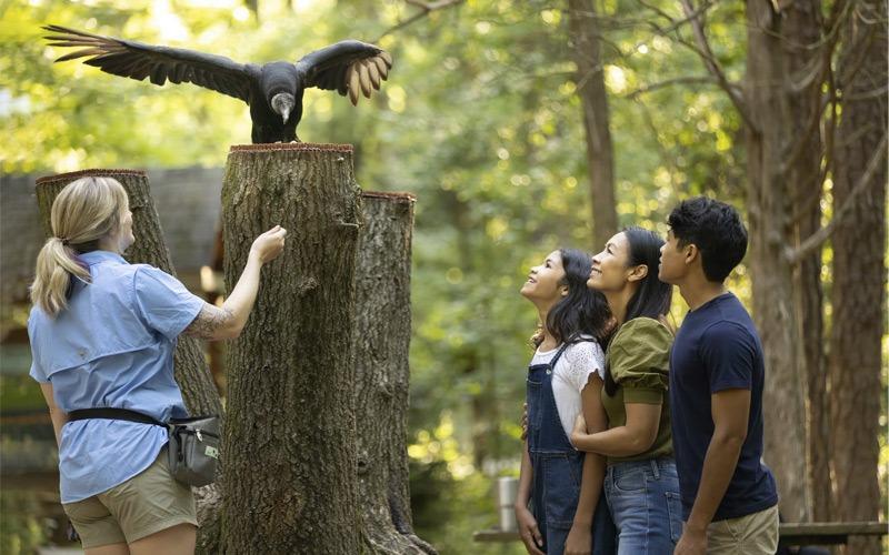 Carolina Raptor Center | Raptor Hospital, Trail & Educational Programs
