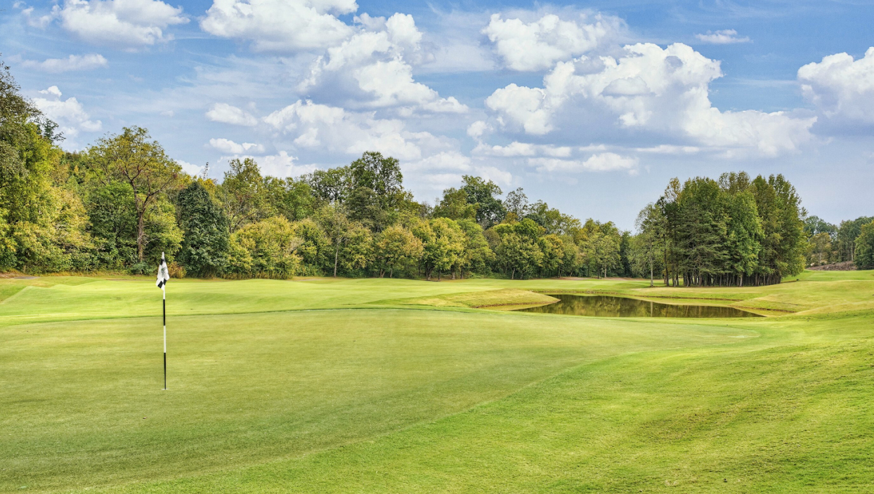 The 500 Club | Golf, Dining & Entertainment